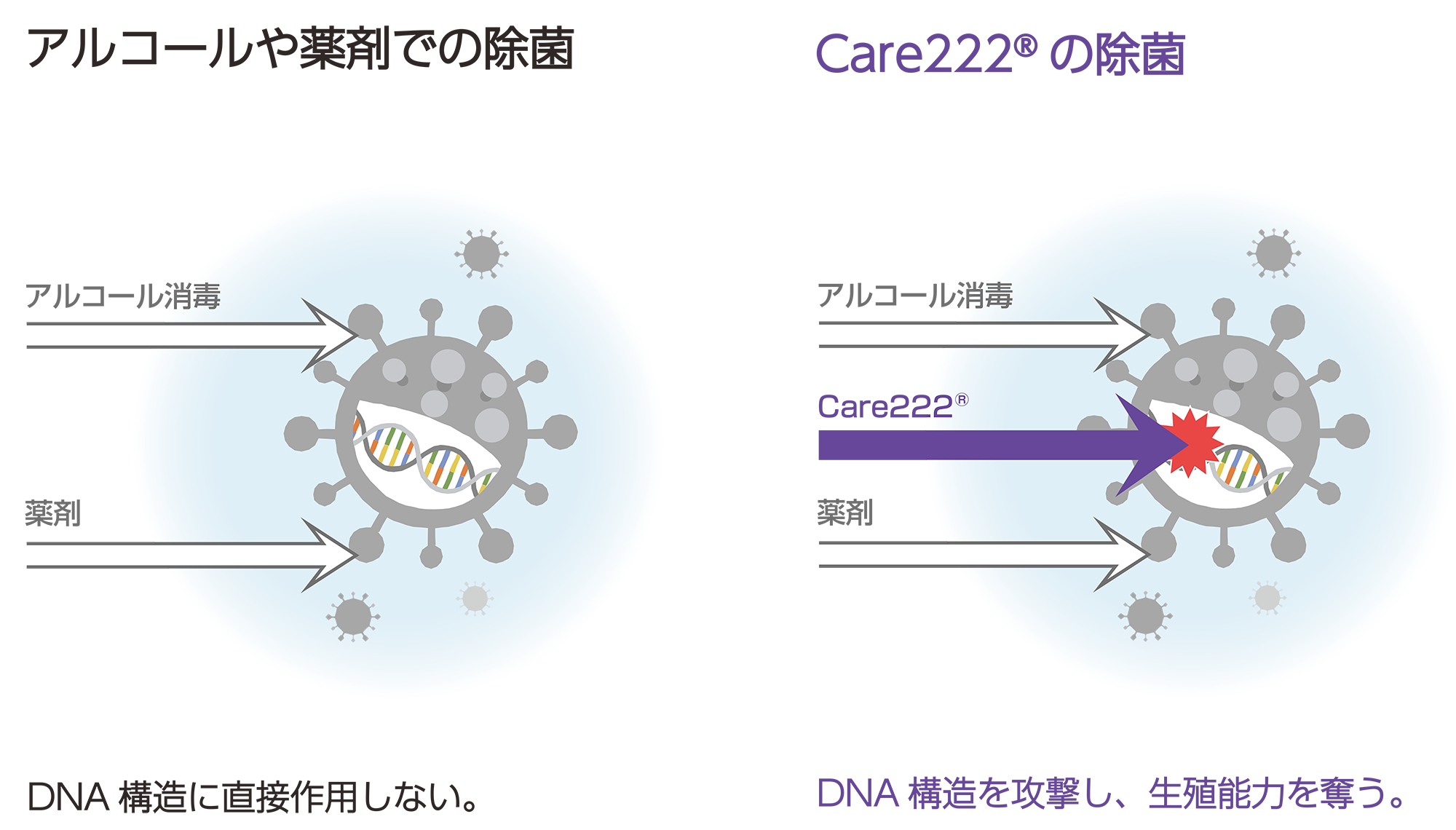 MYSOTER_製品紹介